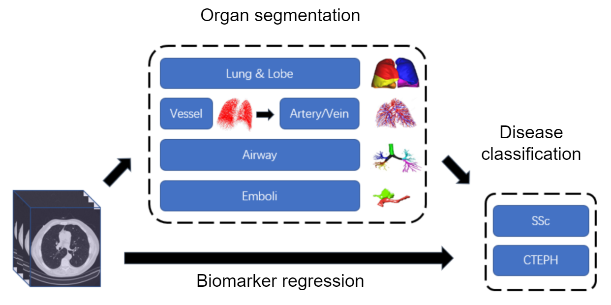 Deep learning based Segmentation and biomarker regression on lung CT Images | Division of Image ...